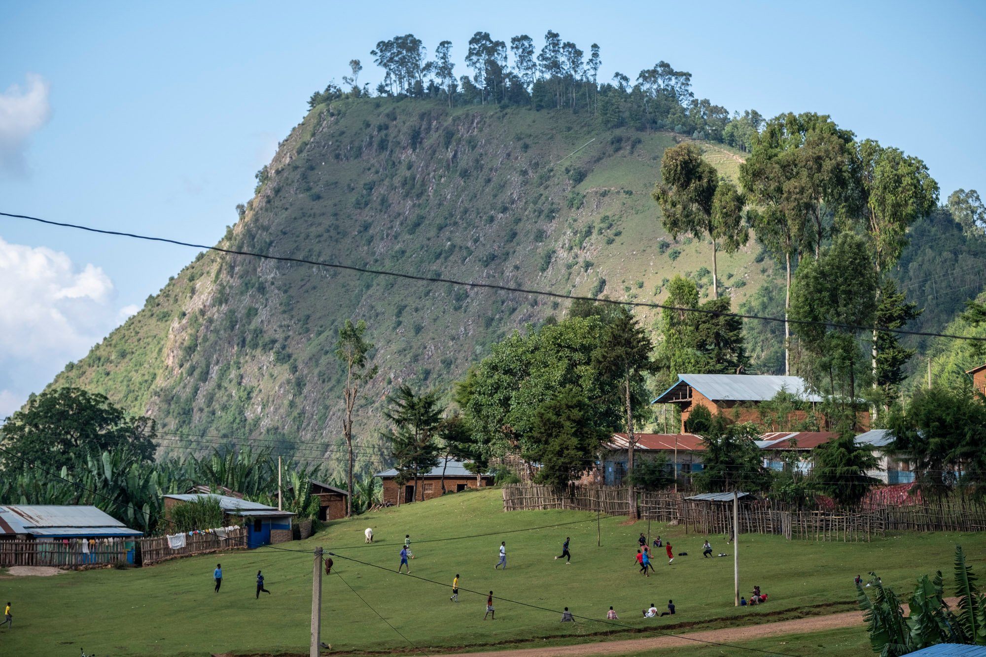 Groundbreaking Biodiversity Project in Ethiopia Sets New Standard for ...